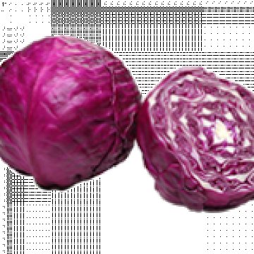 Red cabbage color